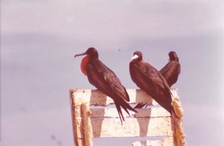 Loran Station Johnston Island